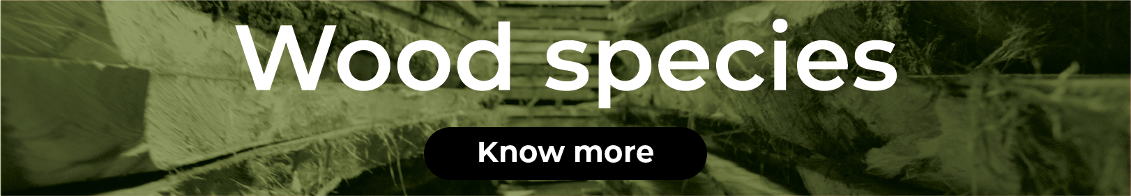 Wood species – Tropical Hardwood
